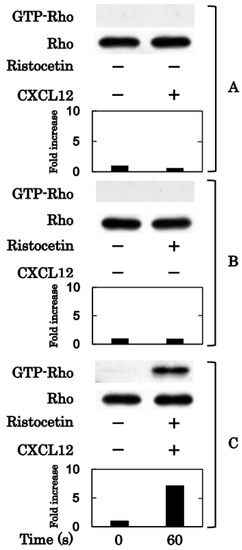 Synergy by Ristocetin and CXCL12 in Human Platelet Activation ...
