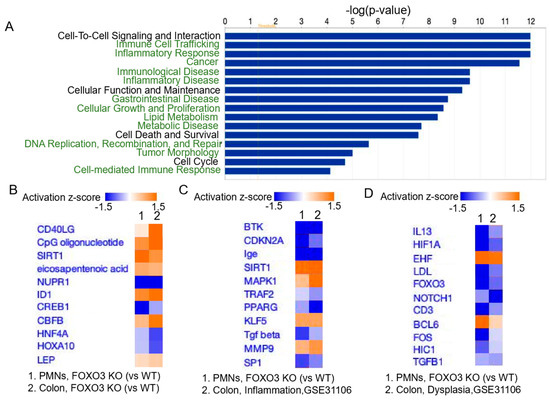 FOXO3 Deficiency in Neutrophils Drives Colonic Inflammation and ...