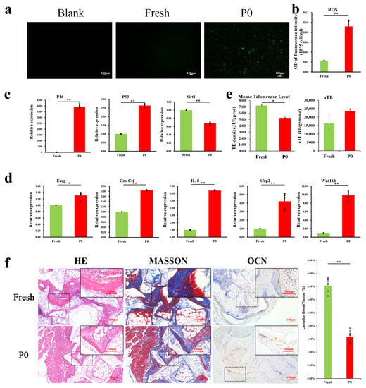 ZIM1 Combined with Hydrogel Inhibits Senescence of Primary PαS Cells ...