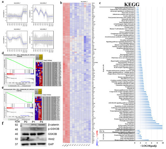 ZIM1 Combined with Hydrogel Inhibits Senescence of Primary PαS Cells ...