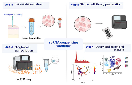 Localized Scleroderma