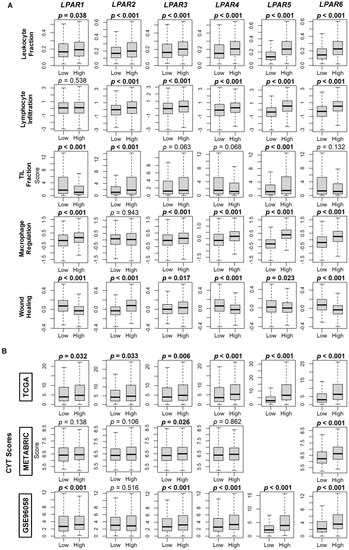 Lysophosphatidic Acid Receptor Signaling in the Human Breast Cancer ...