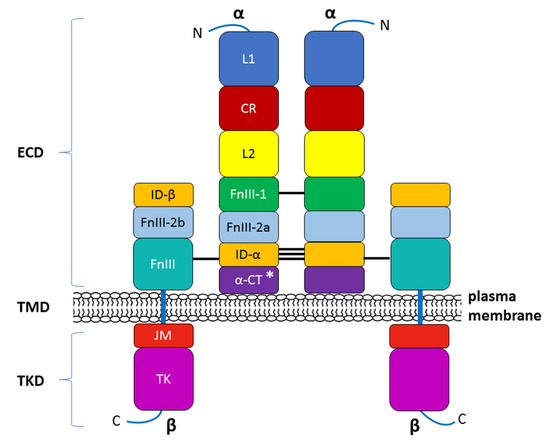 Molecular Mechanisms for the Vicious Cycle between Insulin Resistance ...