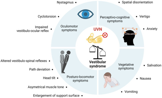 Thyroid Axis and Vestibular Physiopathology: From Animal Model to Pathology