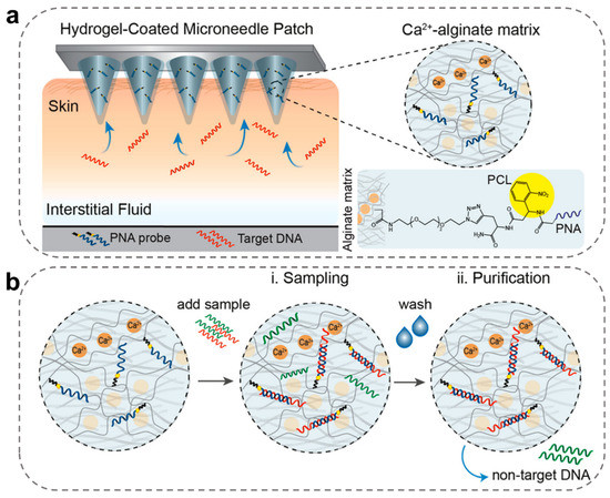 Microneedle-Integrated Sensors for Extraction of Skin Interstitial ...