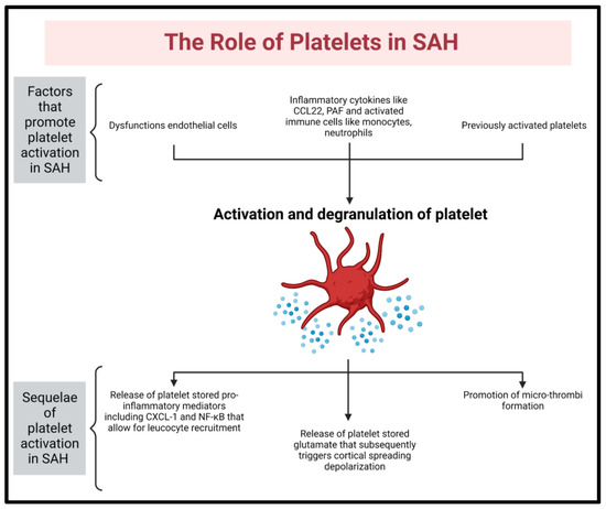 Cortical Spreading Depolarization and Delayed Cerebral Ischemia ...