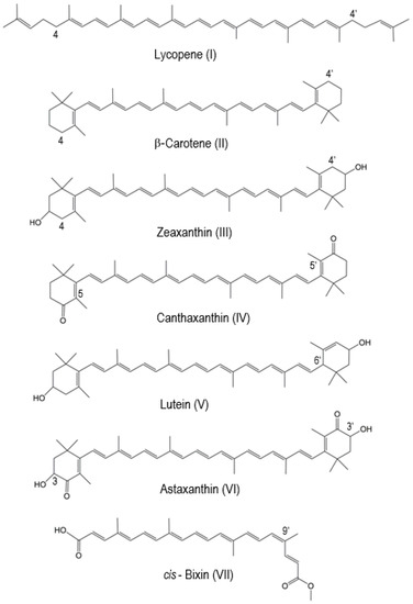 Carotenoid Structure