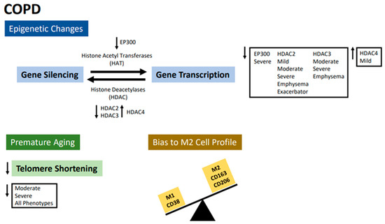 COPD Patients Exhibit Distinct Gene Expression, Accelerated Cellular ...