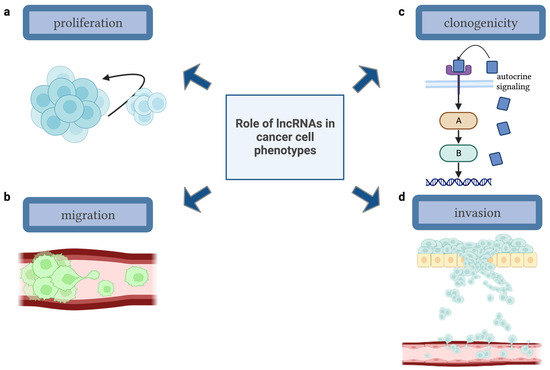 IJMS | Free Full-Text | Interactome of Long Non-Coding RNAs: Transcriptomic Expression Patterns ...