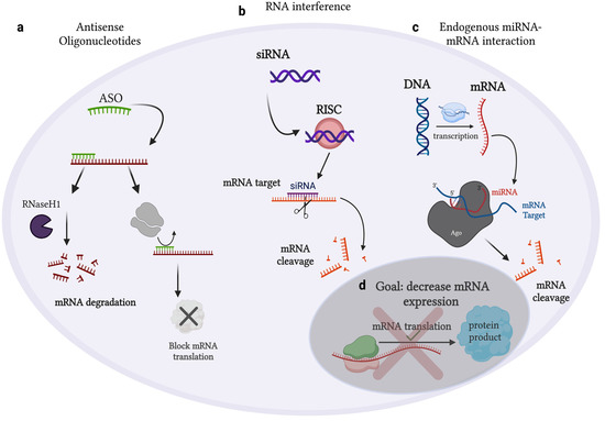 Interactome of Long Non-Coding RNAs: Transcriptomic Expression Patterns and Shaping Cancer Cell ...