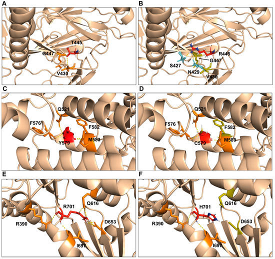New Cases and Mutations in SEC23B Gene Causing Congenital ...