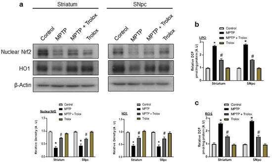 Vitamin E Analog Trolox Attenuates MPTP-Induced Parkinson’s Disease in ...