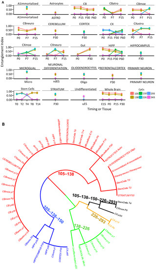 Specific Methyl-CpG Configurations Define Cell Identity through Gene ...