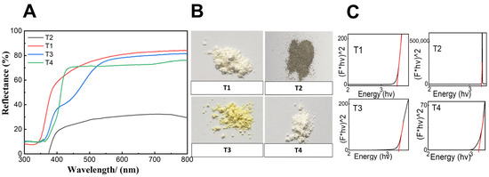 In Vitro Safety Assessment of In-House Synthesized Titanium Dioxide ...