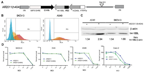 In Vitro and In Vivo Efficacy of a Stroma-Targeted, Tumor ...