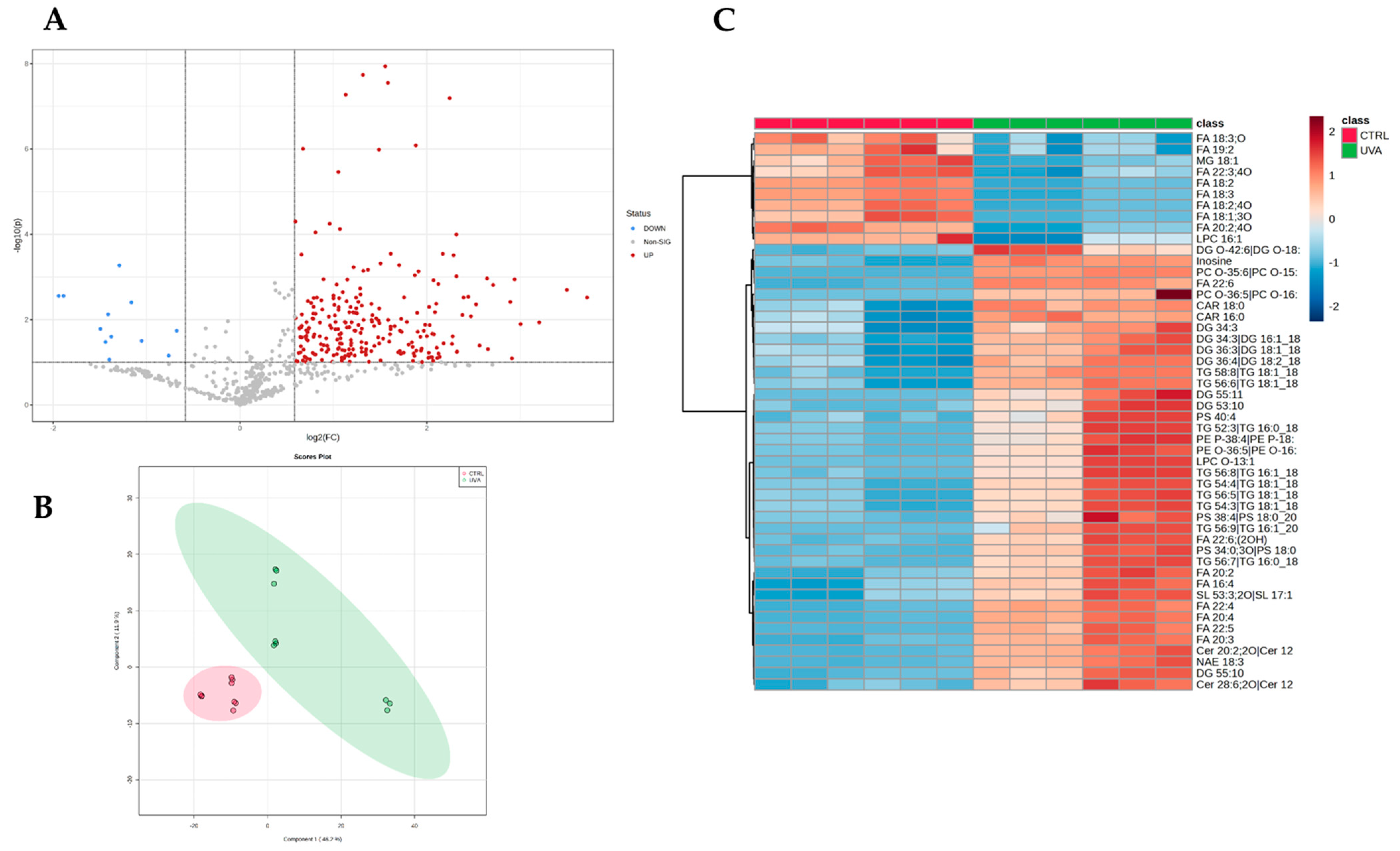 IJMS | Free Full-Text | Lipidome Investigation of Carnosine Effect on ...