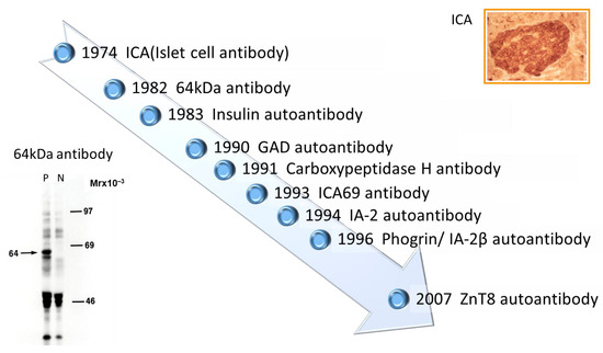 Anti-Islet Autoantibodies in Type 1 Diabetes