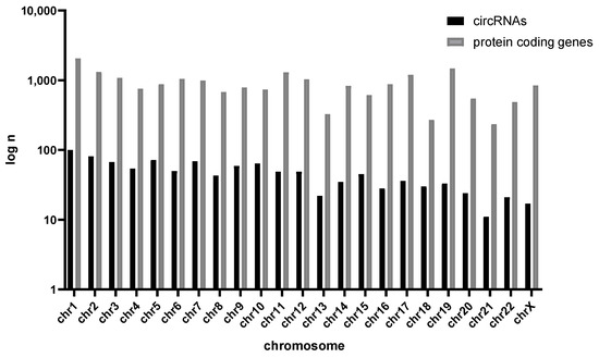Comprehensive Analysis of Circular RNAs in Endothelial Cells