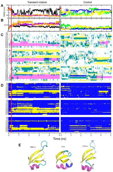 A Study of a Protein-Folding Machine: Transient Rotation of the ...