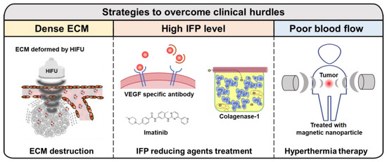 Perspectives for Improving the Tumor Targeting of Nanomedicine via the ...
