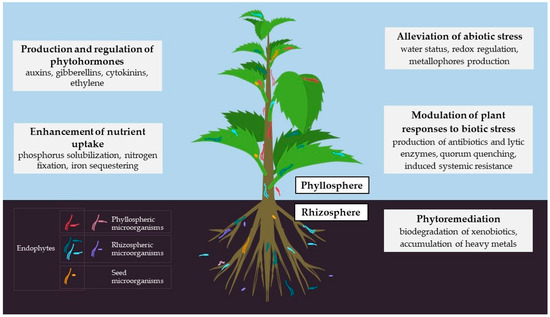 Plants as the Extended Phenotype of Endophytes—The Actual Source of ...