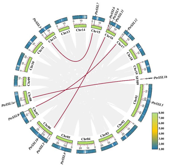 Genome-Wide Analysis of Strictosidine Synthase-like Gene Family ...