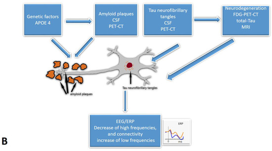 The Importance of Subjective Cognitive Decline Recognition and the ...