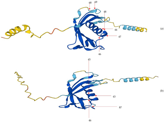 Unique Peptides of Cathelicidin-1 in the Early Detection of Mastitis—In ...