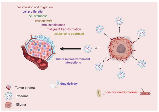 Exosomes as Novel Diagnostic Biomarkers and Therapeutic Tools in Gliomas