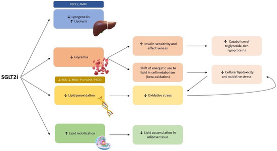 IJMS | Free Full-Text | Novel Antidiabetic Agents and Their Effects on Lipid Profile: A Single ...