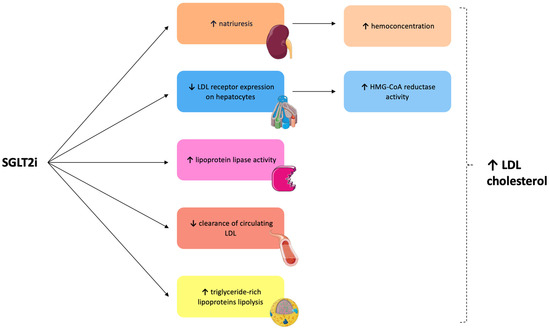 IJMS | Free Full-Text | Novel Antidiabetic Agents and Their Effects on Lipid Profile: A Single ...