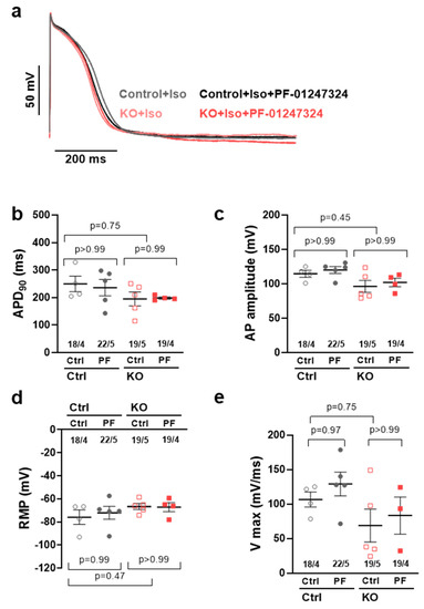 Molecular and Functional Relevance of NaV1.8-Induced Atrial ...