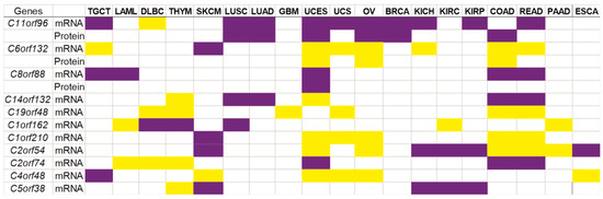 Uncharacterized Proteins CxORFx: Subinteractome Analysis and Prognostic ...