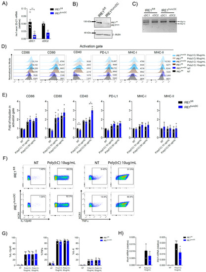 The Unfolded Protein Response Sensor IRE1 Regulates Activation of In ...