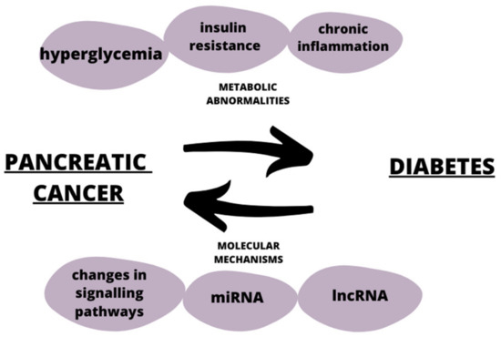 IJMS | Free Full-Text | The Link between Diabetes, Pancreatic Tumors ...