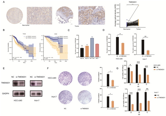 Characterization of the Clinical Significance and Immunological ...