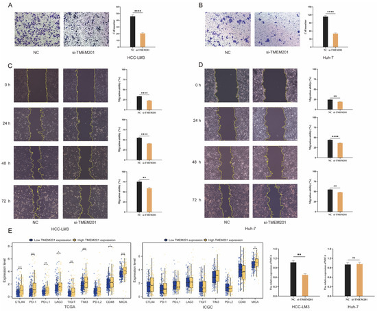Characterization of the Clinical Significance and Immunological ...