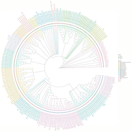 Insight into Population Structure and Drug Resistance of Pediatric ...