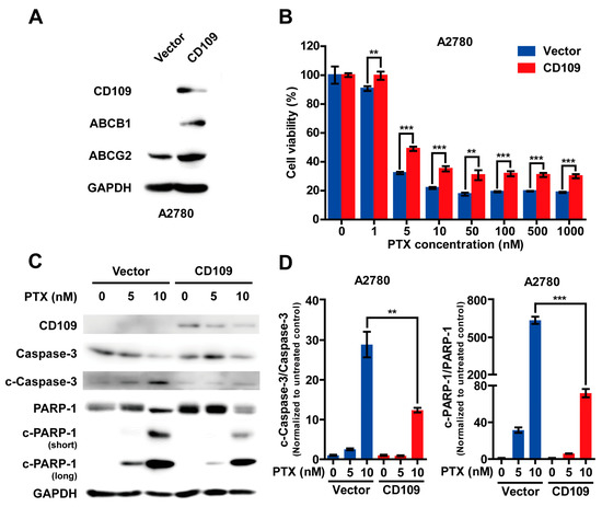 CD109 Promotes Drug Resistance in A2780 Ovarian Cancer Cells by ...