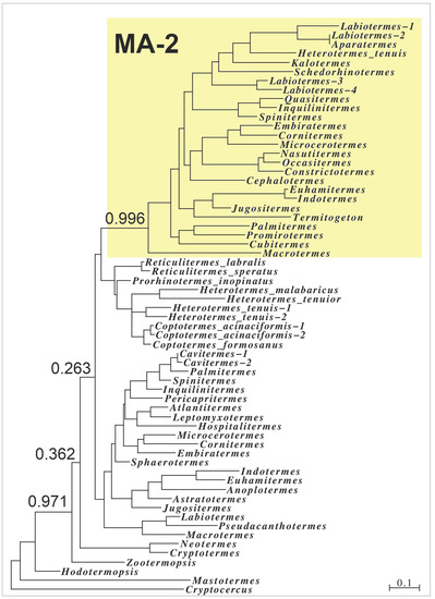 IJMS | Free Full-Text | Evolution of a Cockroach Allergen into the ...