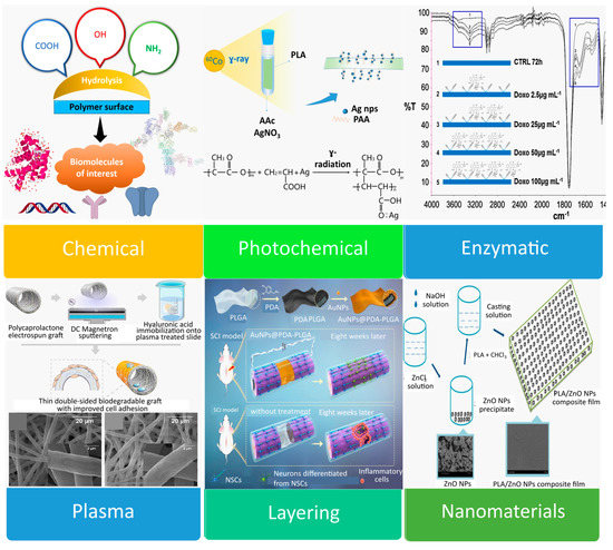 Advances in Functionalization of Bioresorbable Nanomembranes and ...