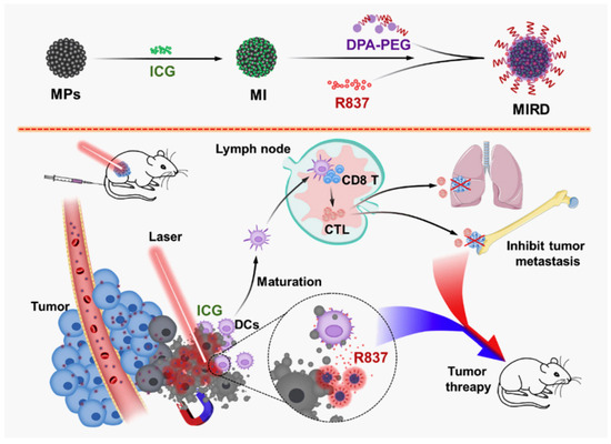 Advances in Functionalization of Bioresorbable Nanomembranes and ...