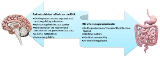 The Crosstalk between Gut Microbiota and Nervous System: A Bidirectional Interaction between ...