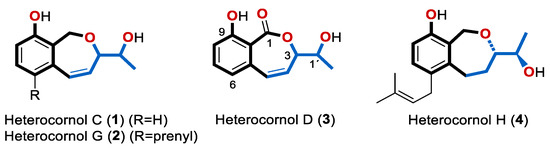 Synthetic Study of Natural Metabolites Containing a Benzo[c]oxepine ...