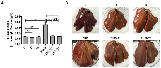 Taurine Protects against the Fatty Liver Hemorrhagic Syndrome in Laying ...