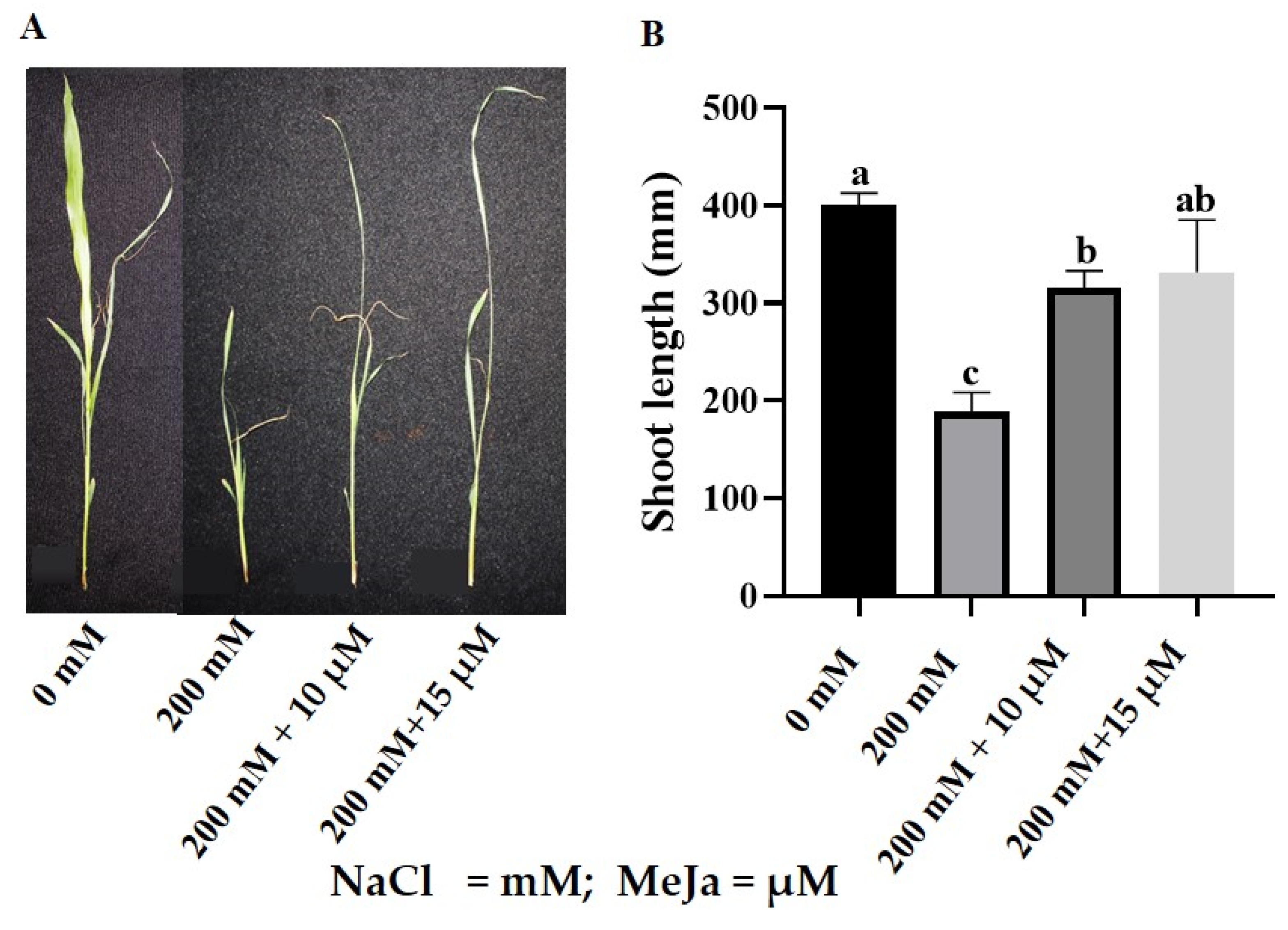 Seed Priming with MeJa Prevents Salt-Induced Growth Inhibition and ...