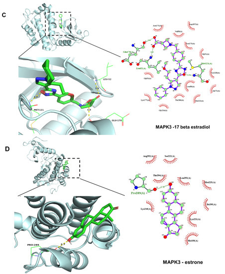 Network Pharmacology, Molecular Docking and Molecular Dynamics to ...