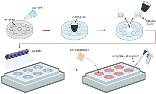 Partner, Neighbor, Housekeeper and Dimension: 3D versus 2D Glomerular ...