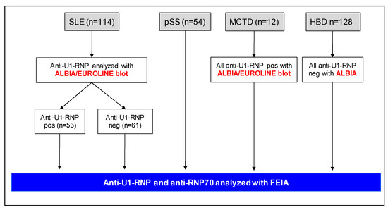 IJMS | Free Full-Text | Doubtful Clinical Value of Subtyping Anti-U1 ...