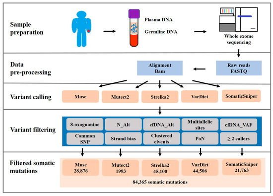 Identification of Somatic Mutations in Plasma Cell-Free DNA from Patients with Metastatic Oral ...
